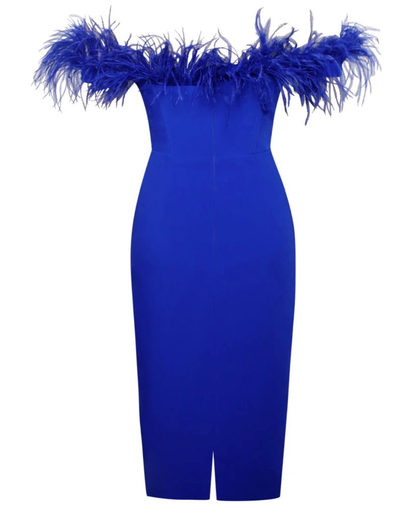 FIONA FEATHER CORSET MIDI DRESS – SHOP DDMINE